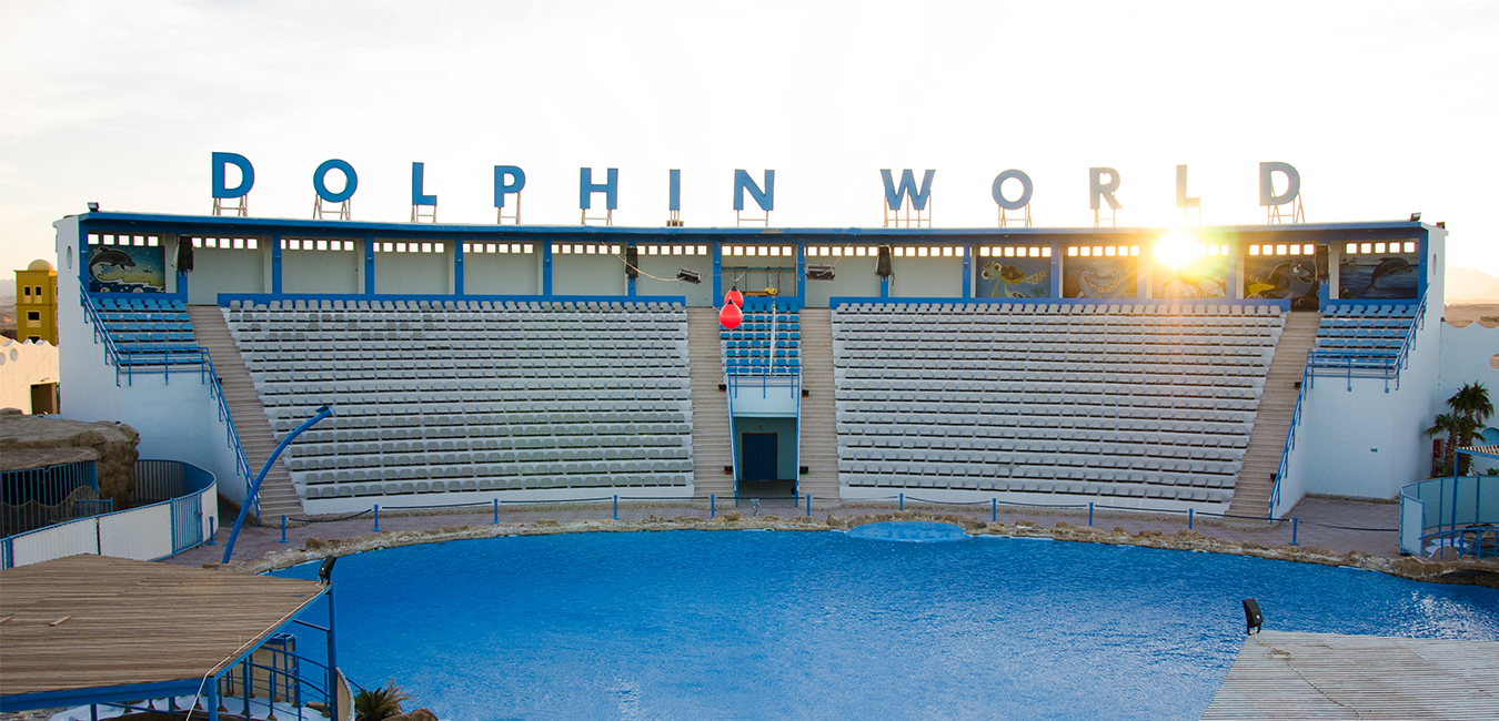 Home | Dolphin World