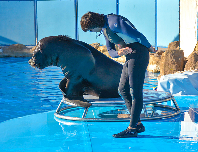 Gallery | Dolphin World