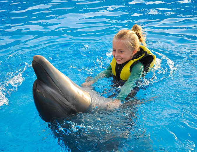 Gallery | Dolphin World