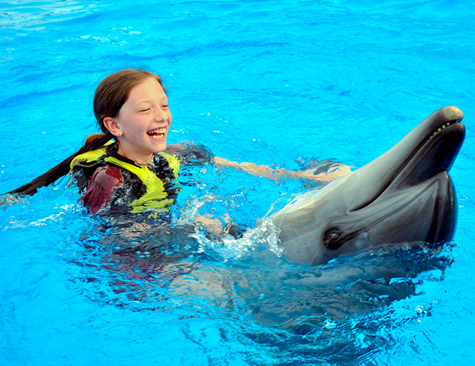 Gallery | Dolphin World