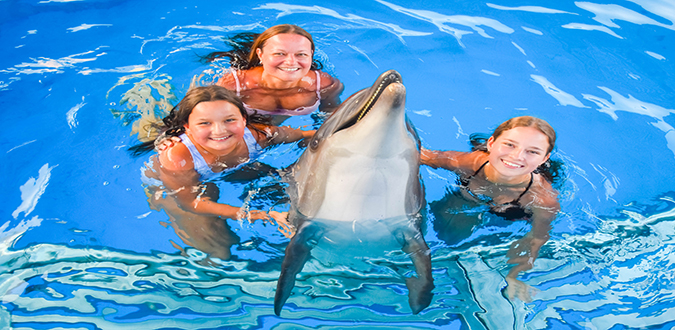 Dolphin Activities | Dolphin World