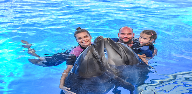 Dolphin Activities | Dolphin World